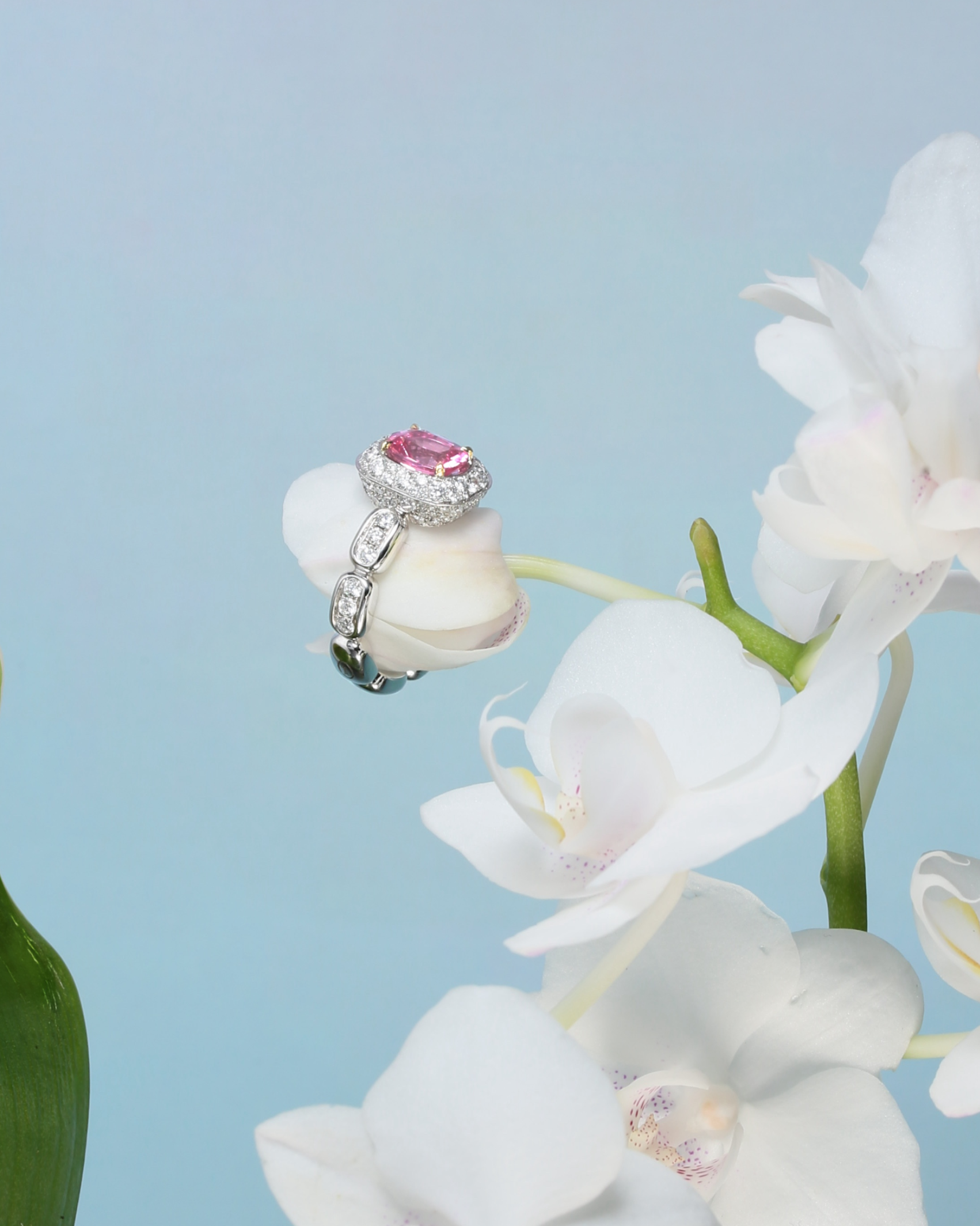 流光之戒 – FOMA FINE JEWELRY